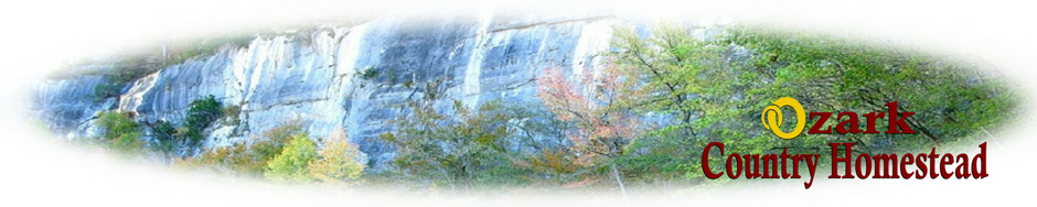 The Old Ways - Cherokee Blowgun Used For Centuries - Ozark Country ...